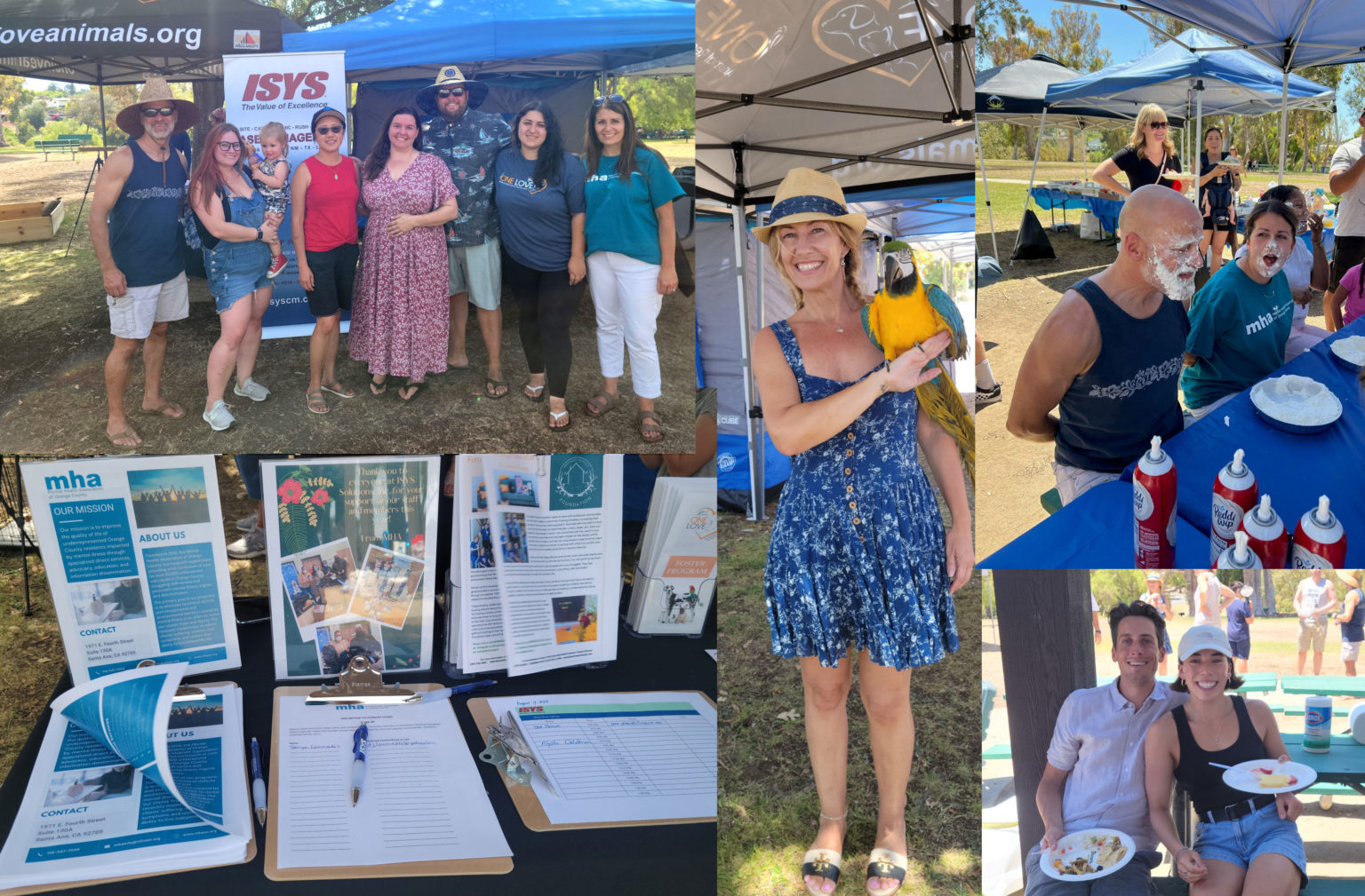 ISYSCM - ISYS Case Management Solutions, Inc